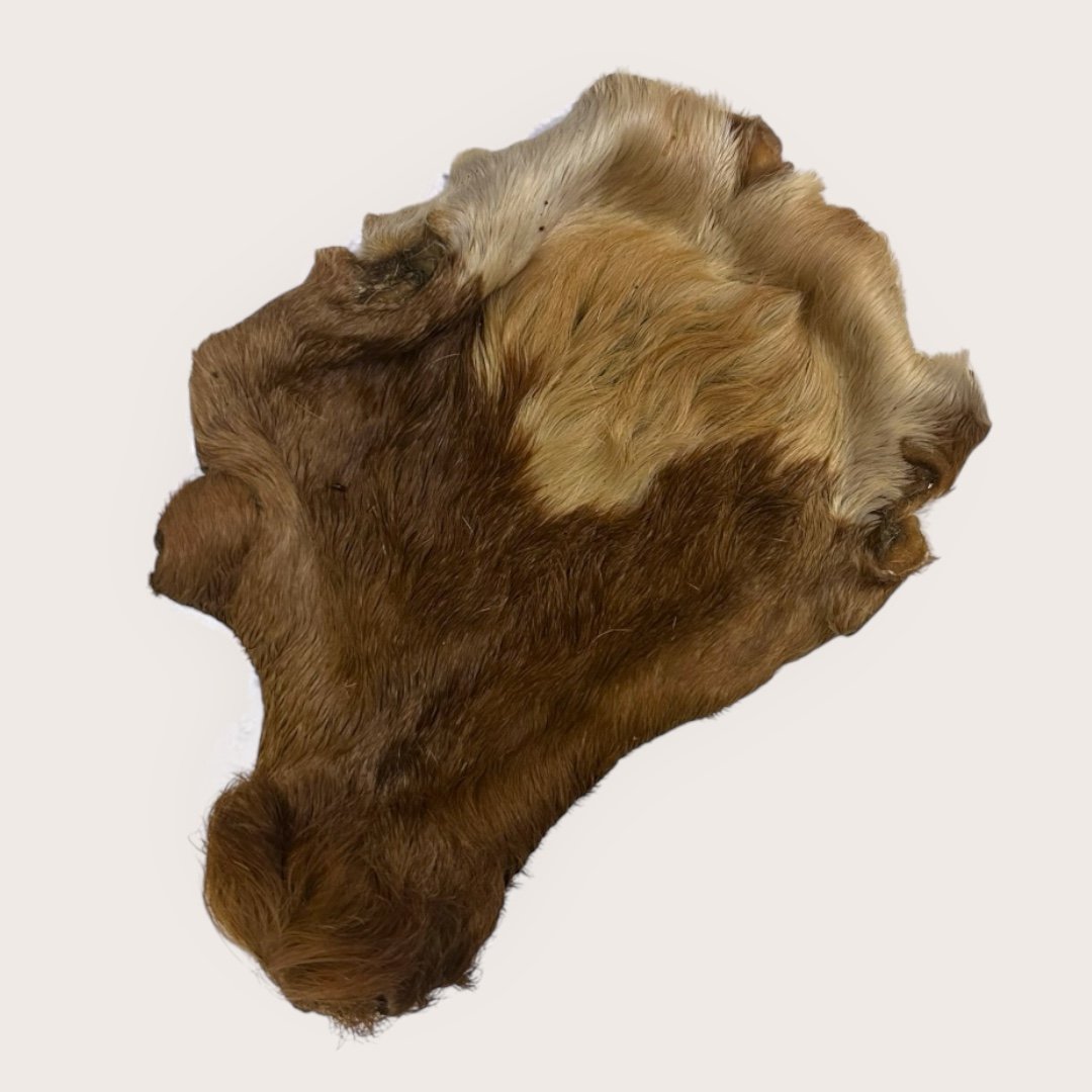 XL Beef Bark – barneysbites.co.uk